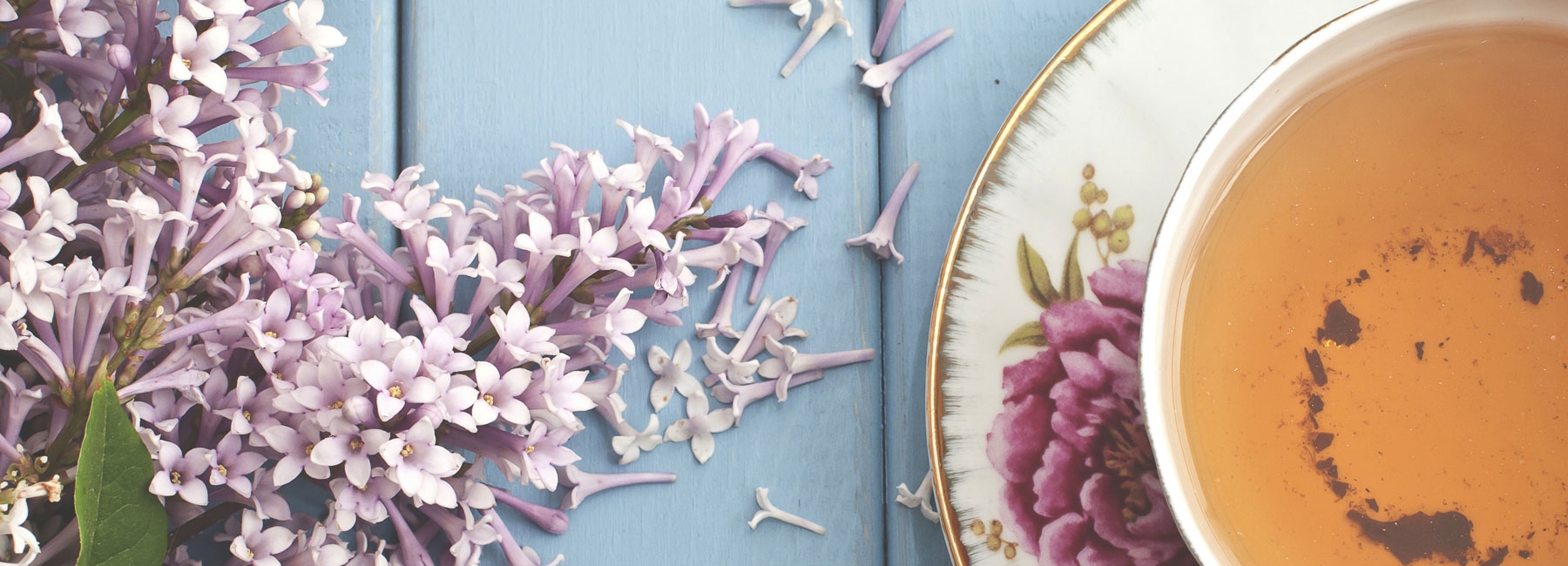 Buy Luxury Tea | Blends, Infusions & Bags, Online, UK | English Garden ...